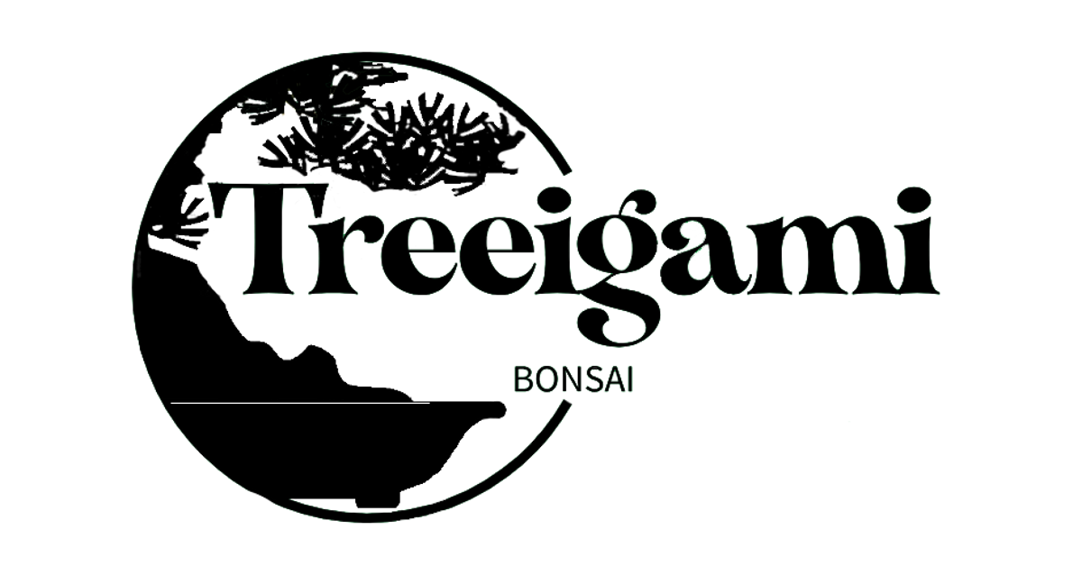 Treeigami – Treeigami.com